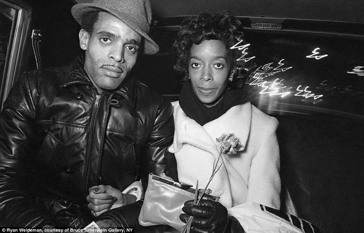 Pendant 30 ans, Ryan Weideman a shooté la faune new yorkaise dans son ...